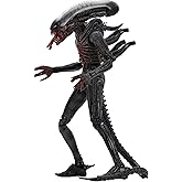 Amazon.com: NECA Aliens - Series 6 Isolation Xenomorph Action Figure (7 ...