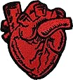 Amazon.com: Red Anatomical Heart - Embroidered Iron on Patch: Arts ...