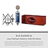 Blue Microphones Bluebird SL Large-Diaphragm Condenser Microphone with ...
