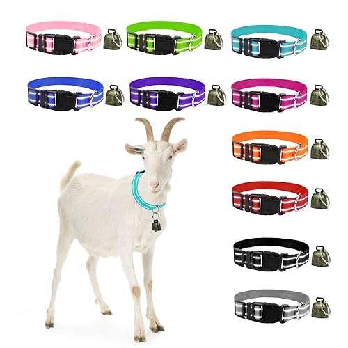 GINDOOR 10 Pack Reflective Goat Collar with Crisp Bells,Adjustable ...