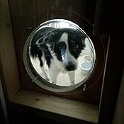 Amazon.com : N&M Products Pet Window - Acrylic Dog Window/Peep Hole for ...