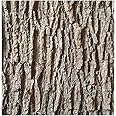 Amazon.com: Realistic Artificial Bark Landscaping DIY Projects and ...