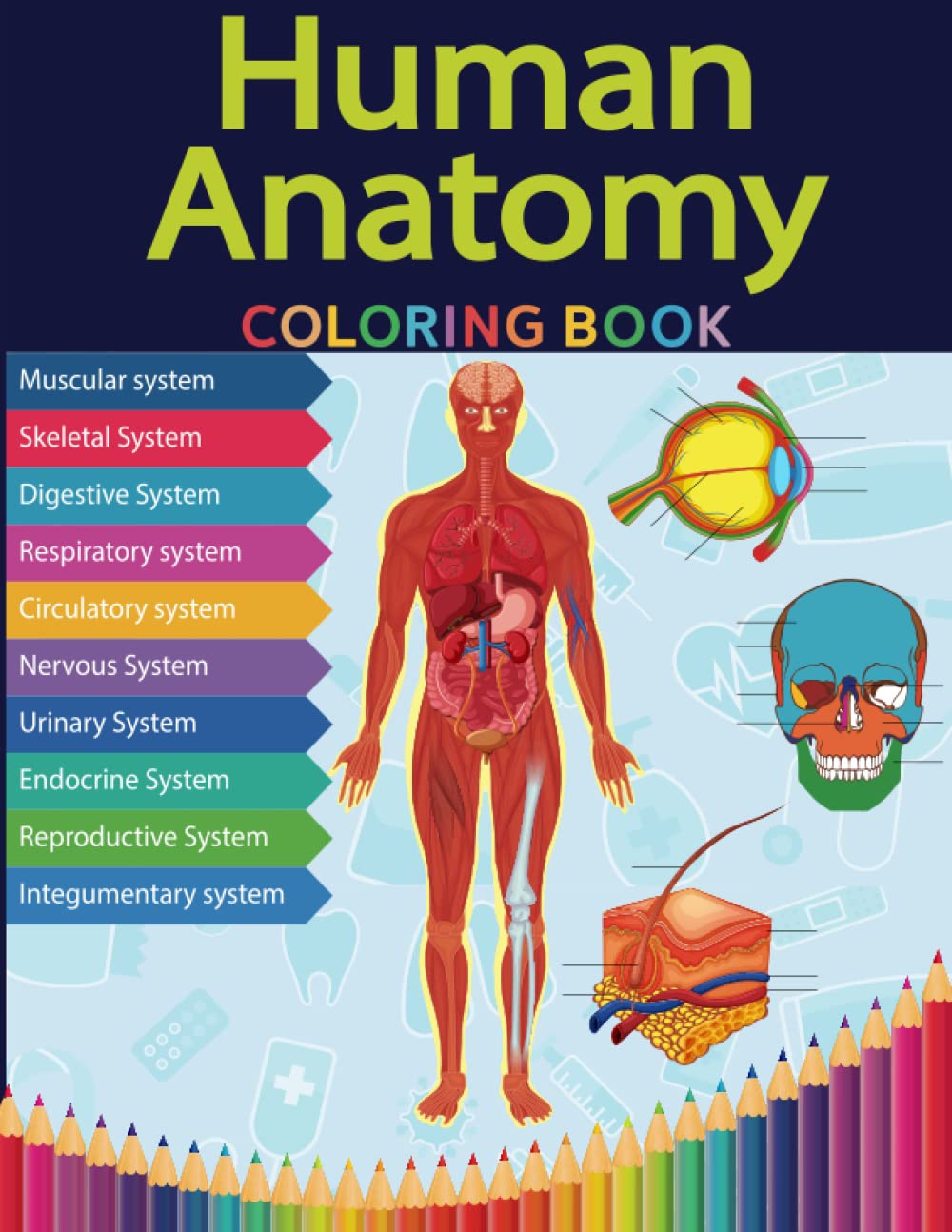Mua Human Anatomy Coloring Book: All Human Body Systems With Over 30 ...