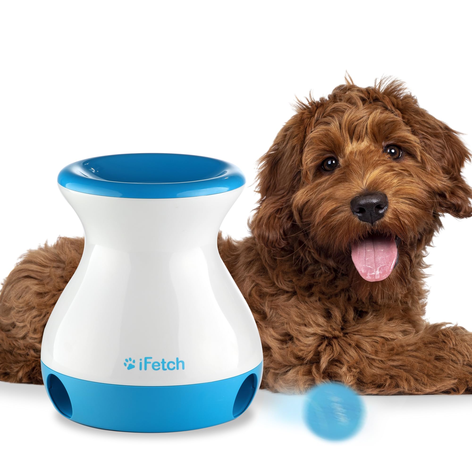 iFetch Frenzy Interactive Dog Toy, Self Fetch Mini Tennis Ball Machine ...
