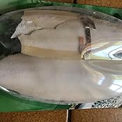 Living World Cuttlebone, Large, Twin-Pack: Amazon.ca: Pet Supplies