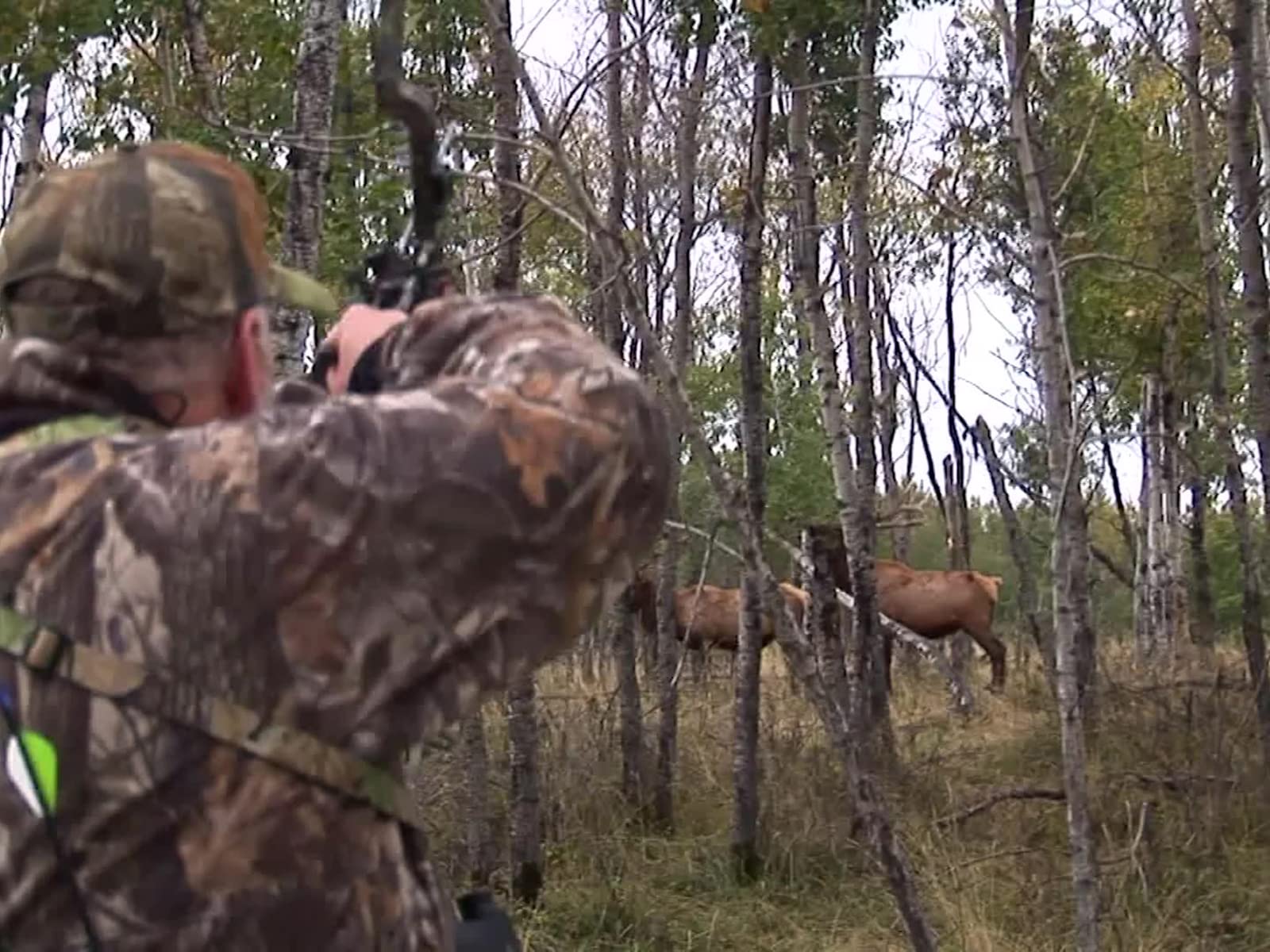 Watch Game Chasers - Season 2 | Prime Video