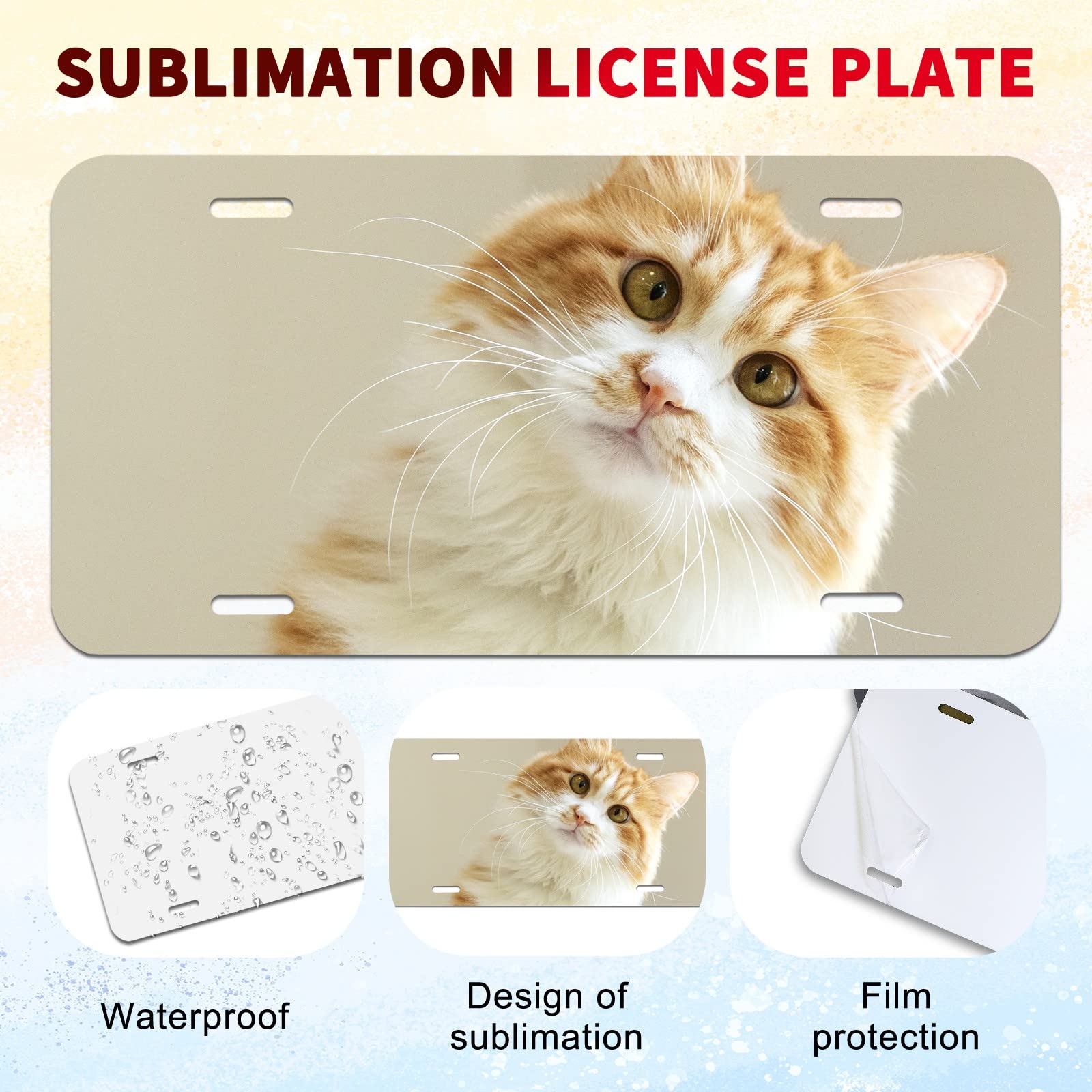 Mua 10 Pack Sublimation License Plate Blanks,Heat Thermal Transfer ...