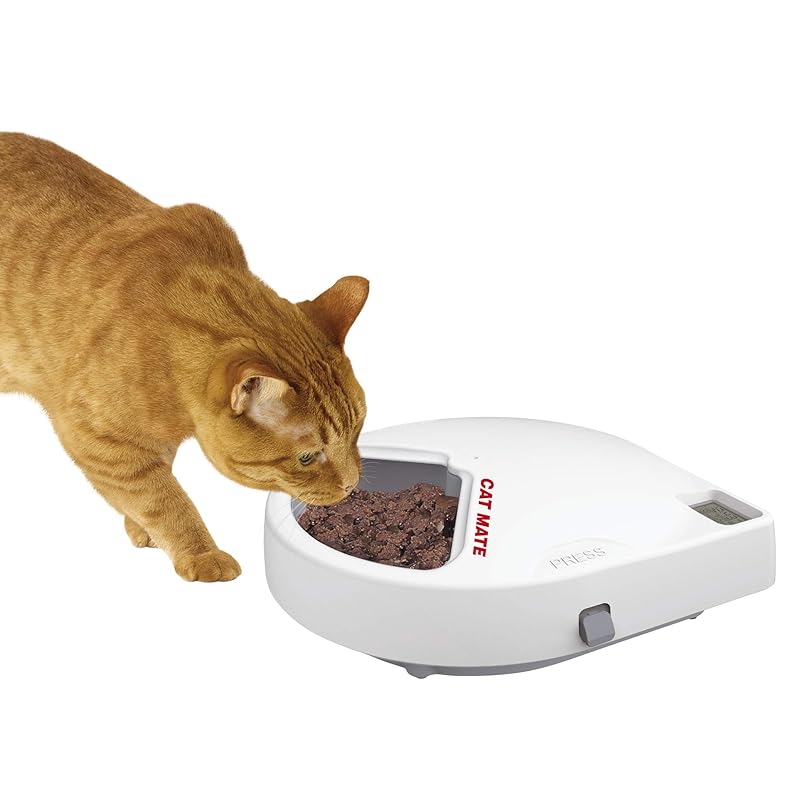 10 Best Cat Food Dispenser & Cat Feeder For Dry Food - iHomePet