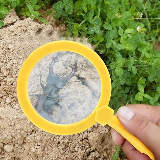 Magnifier Toy, Children Educational Toys 8.1 * 4.4 * 1 in Magnifying ...