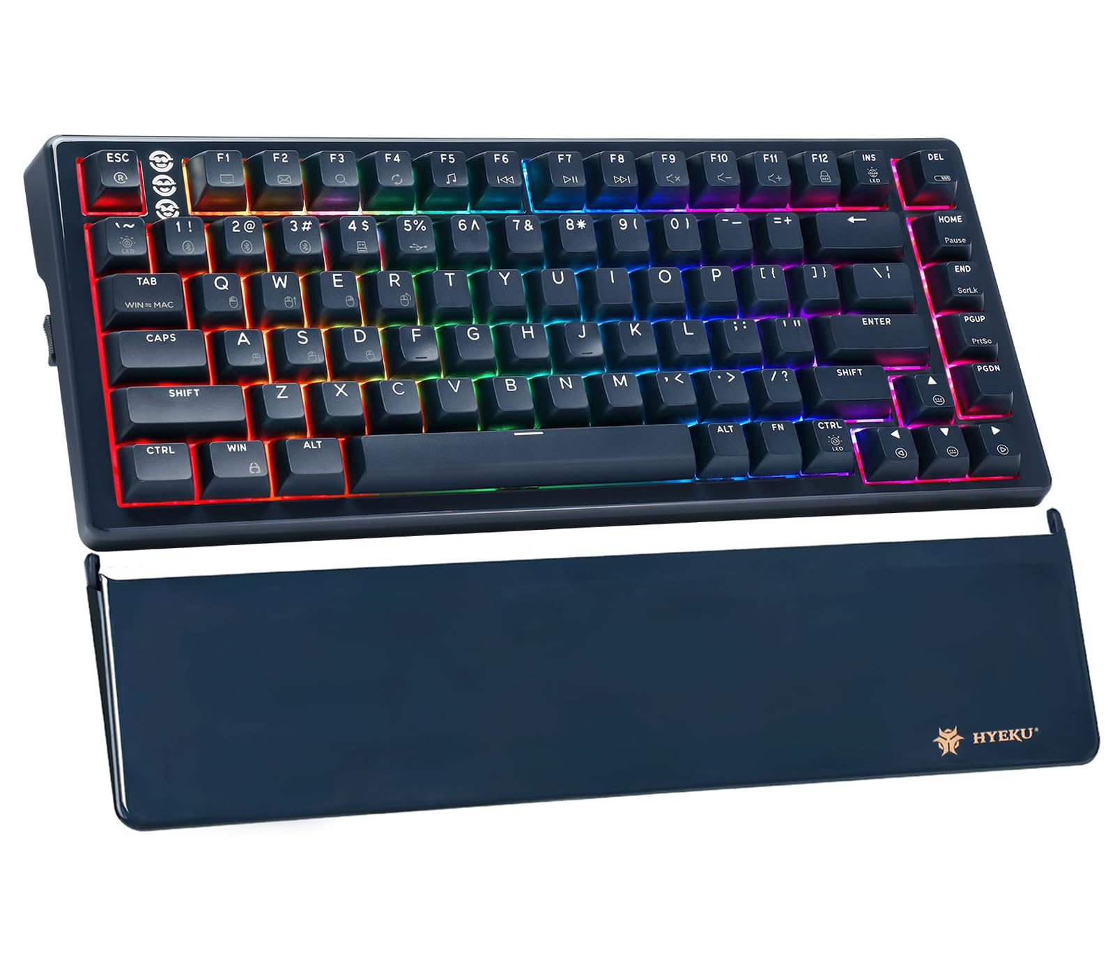 Mua E2 Pro Wireless Mechanical Keyboard, RGB Backlit Gaming Keyboard, 2 ...