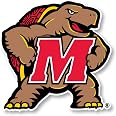 Amazon.com: Maryland Terrapins 6 Inch Vinyl Mascot Magnet Officially ...