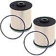 Amazon.com: 2 Pack FOR Chevy ACDelco Pro Fuel Filter Kit 49243 TP1015 ...