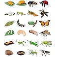 Amazon.com: Odowalker 24PCS Life Cycle Figures,Insect Figurines Life ...