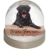Amazon.co.uk Best Sellers: The most popular items in Snow Globes