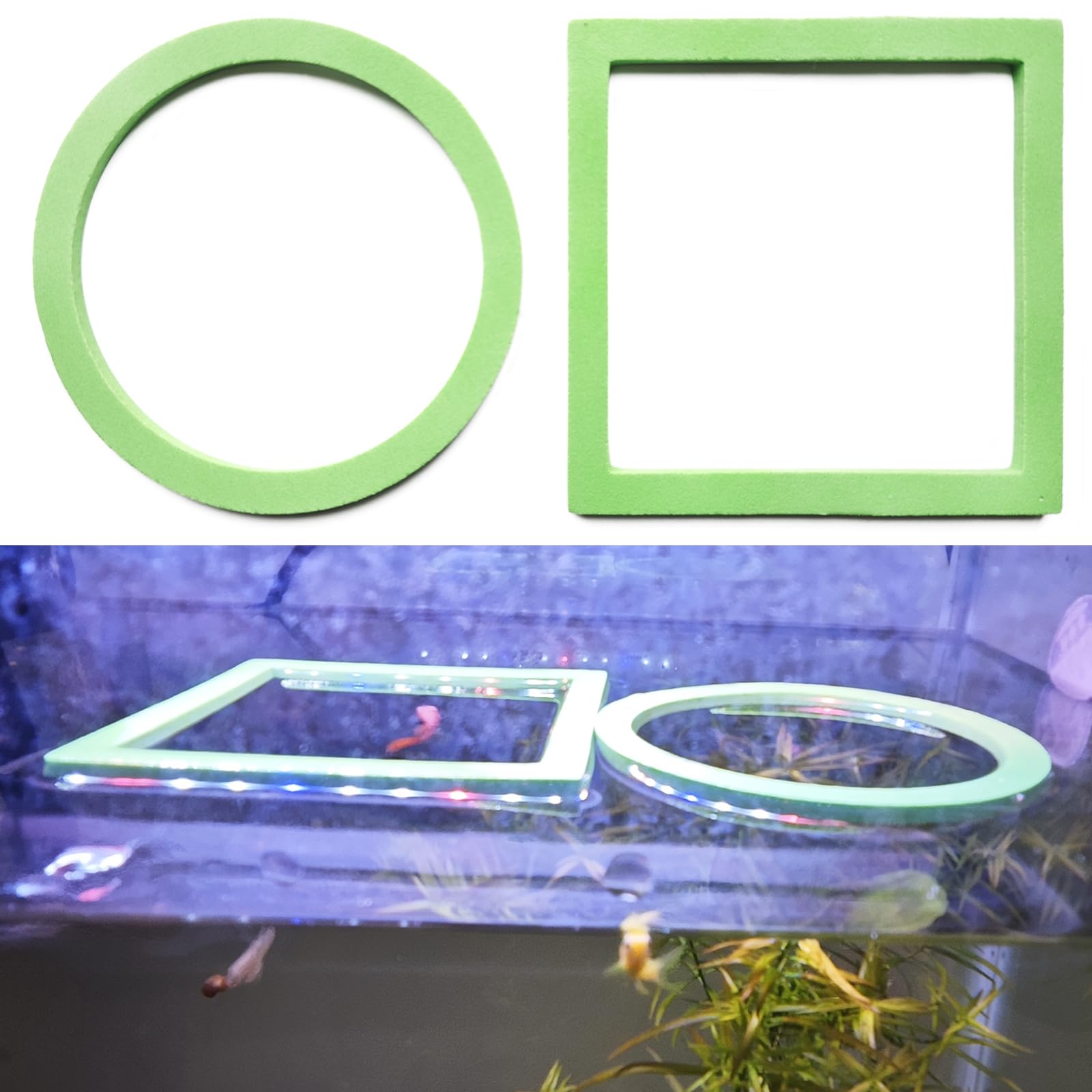 Fish Feeding Ring & Floating Plant Corral Aquarium Feeding Ring Fish ...