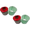 Amazon.com: Air Filter For B & S 386447 296442 296446 296447 305447 ...