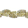 Amazon.com: Trims by the Yard Lila Sequin Loop Braid Trim | Gold| (20 ...