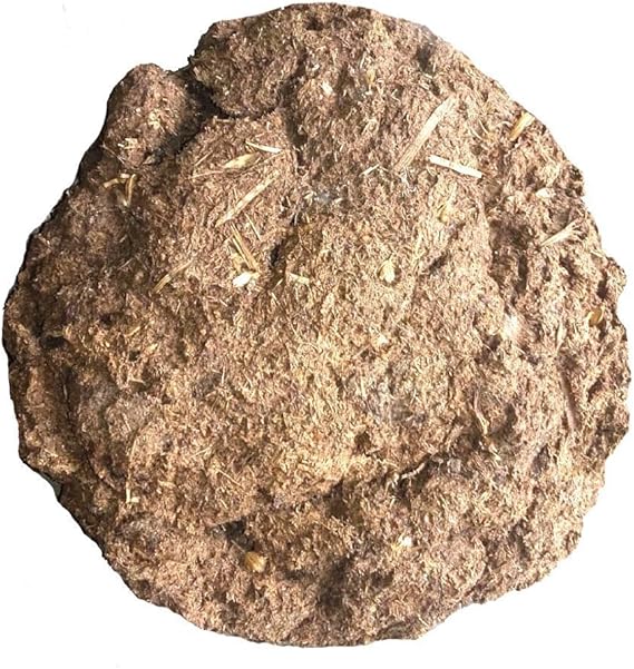 Discount4product 100% Cow Dung Cake (Cow Gobar)-400 Gram: Amazon.co.uk ...