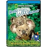 Amazon.com: National Geographic's Really Wild Animals Gift Set : Movies ...