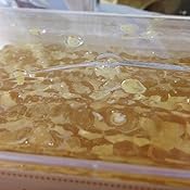 Hilltop Honey Cut Comb Slab 200g: Amazon.co.uk: Grocery