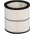 Amazon.com: HIFROM Replacement 17884 Vacuum Filter Replacement for ...
