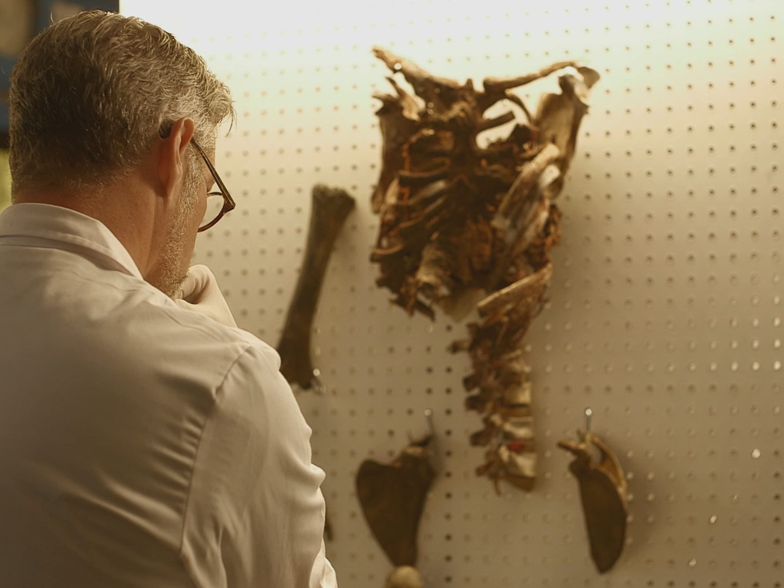 Watch The Coroner: I Speak For The Dead - Season 1 | Prime Video