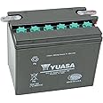 Amazon.com: Yuasa YUAM420BS YTX20L Factory Activated AGM Battery : Automotive