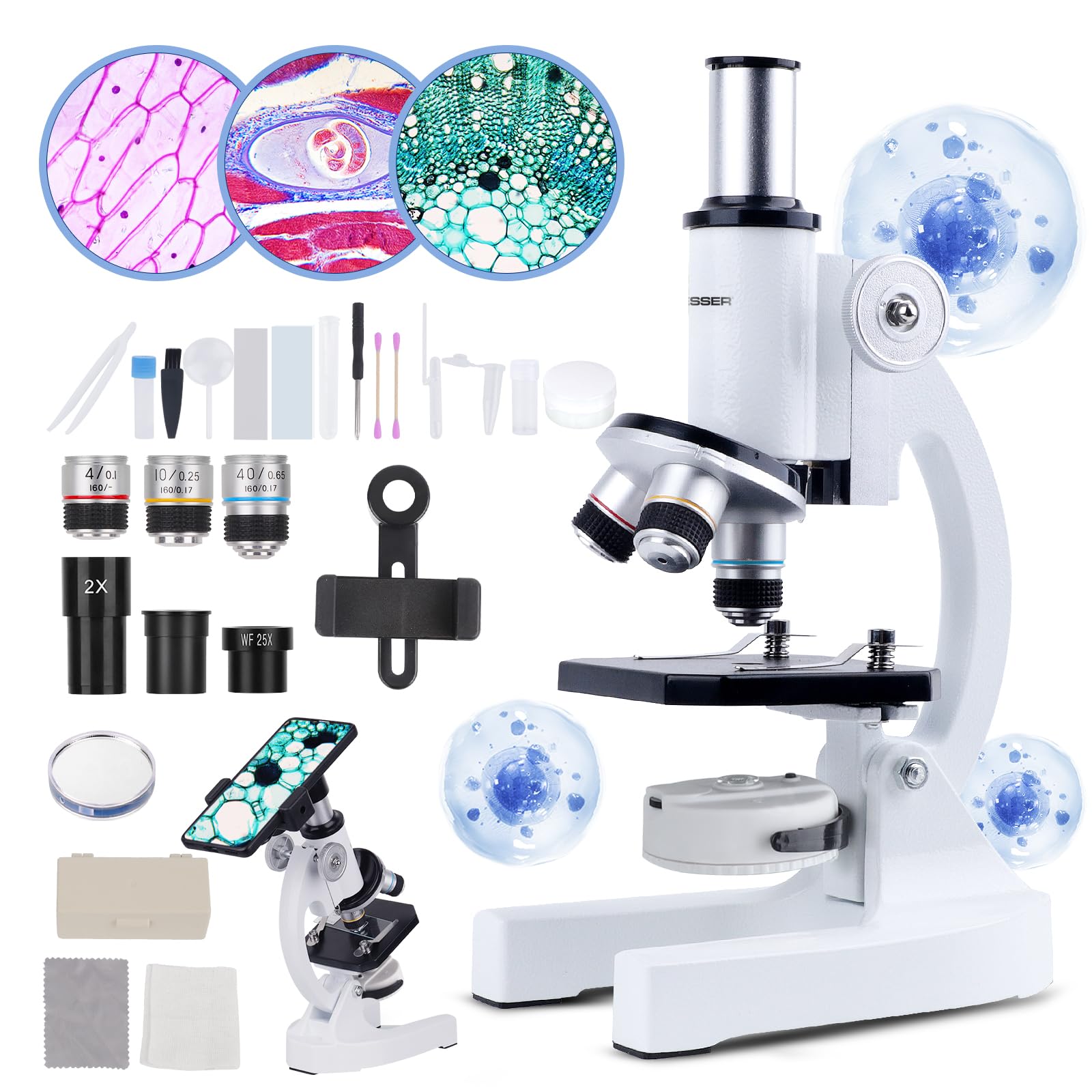 Microscope for Kids Beginner, 40X-2000X Kids Microscope Kit with ...