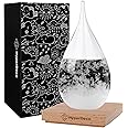 Amazon.com: Storm Glass Weather Predictor, Weather Predicting Globe ...
