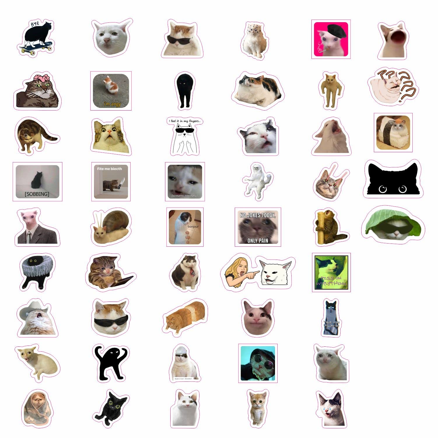 Mua BulbaCraft BulbaCraft 100Pcs Cat Meme Stickers - Funny Cat Stickers ...