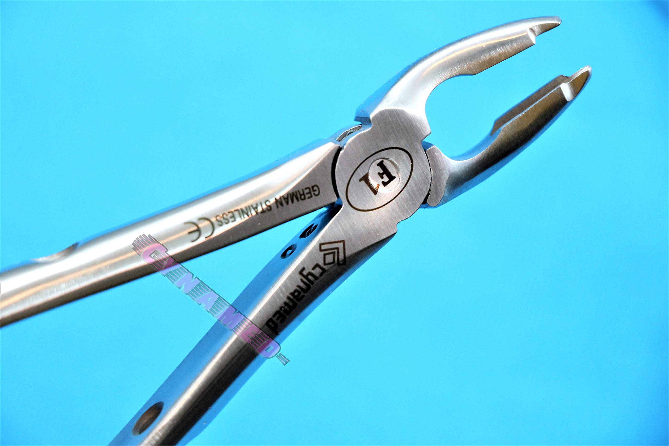 ATRAUMATIC Gold Handle Tips F1 EXTRACTING Forceps With DEEP Grip Dental ...