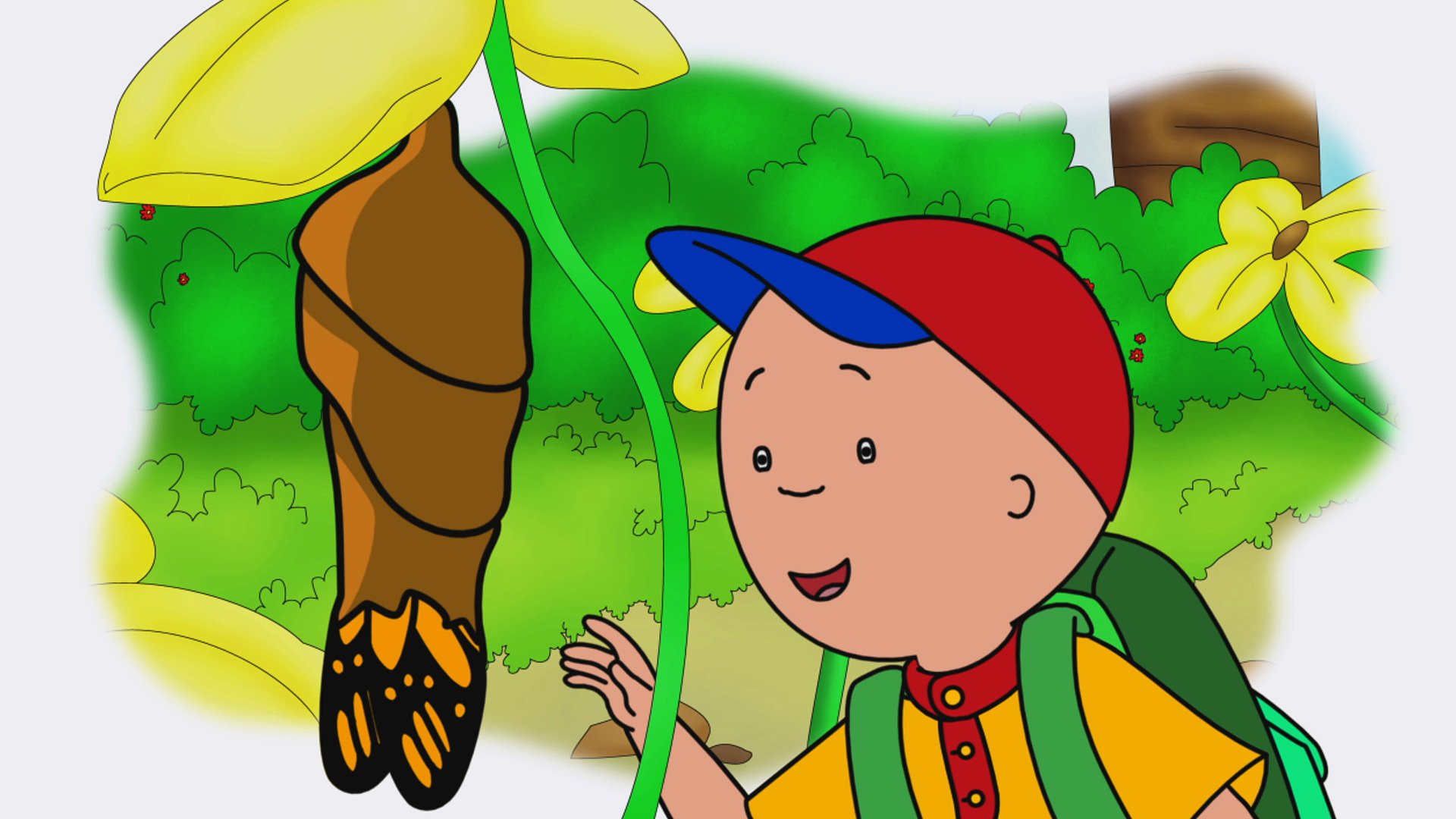 Watch _DUPLICATE_Caillou, Season 5 | Prime Video