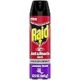 Amazon.com: Raid Ant & Roach Killer Spray For Listed Bugs, Keeps ...
