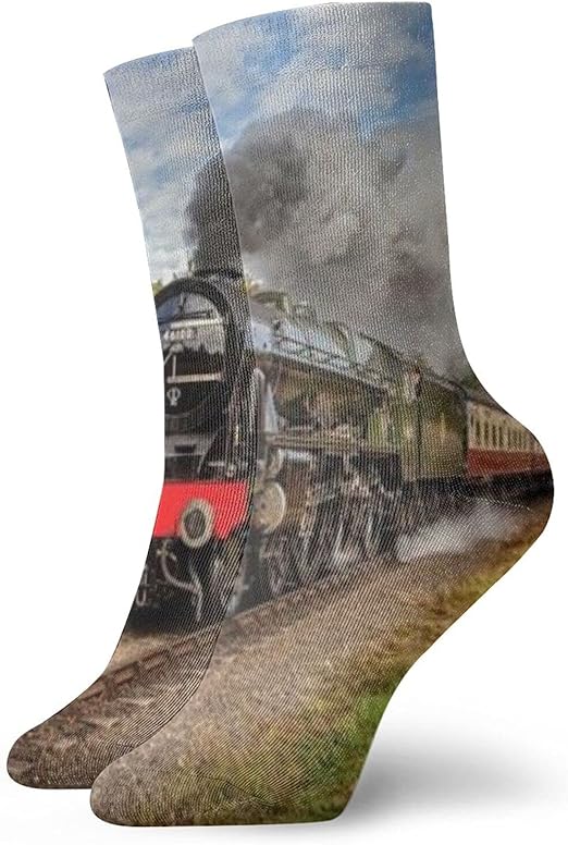 Funny Steam Train Classic Leisure Sport Short Socks 30cm/11.8inch ...