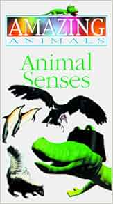 Animal Senses (Amazing Animals) VHS Video: DK Publishing: 9780789419545 ...
