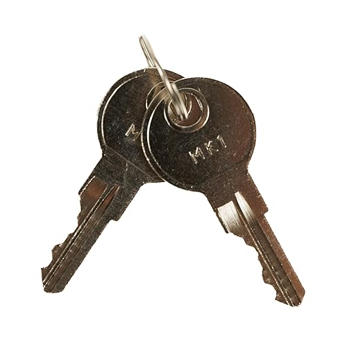 Master Keys for T & L Handle Locks (Key Only, 2 pcs) in Kenya | Whizz ...