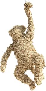 Amazon.com: Monkey Topiary (27") Sphagnum Moss Topiary Form : Home ...