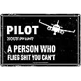Amazon.com: Pilot Definition Vintage Airplane Metal Sign - Funny ...