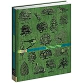 Nature Journal: A Kid's Nature Journal: Cantrell, Alice M ...