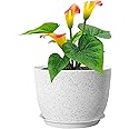 Amazon.com: Meowell Plant Pots 12 inch, Plastic Planters with Drainage ...