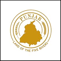 Cool Punjabi Logo