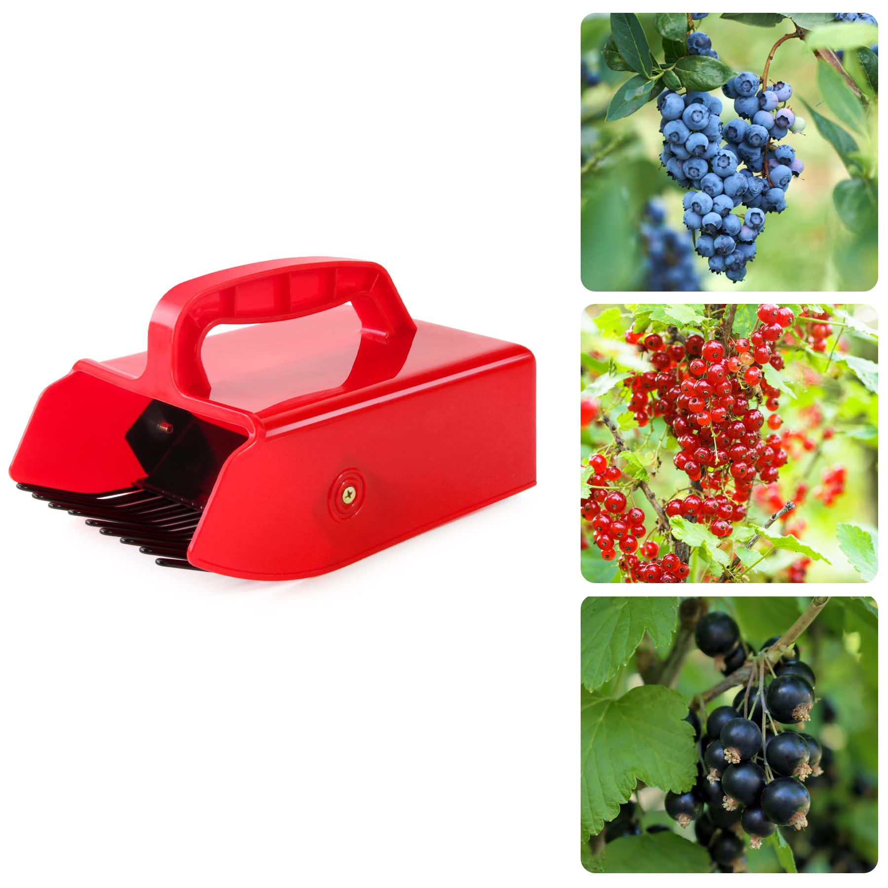 Domiella Blueberry Picker with Metallic Comb and Handle, Easier Berry ...