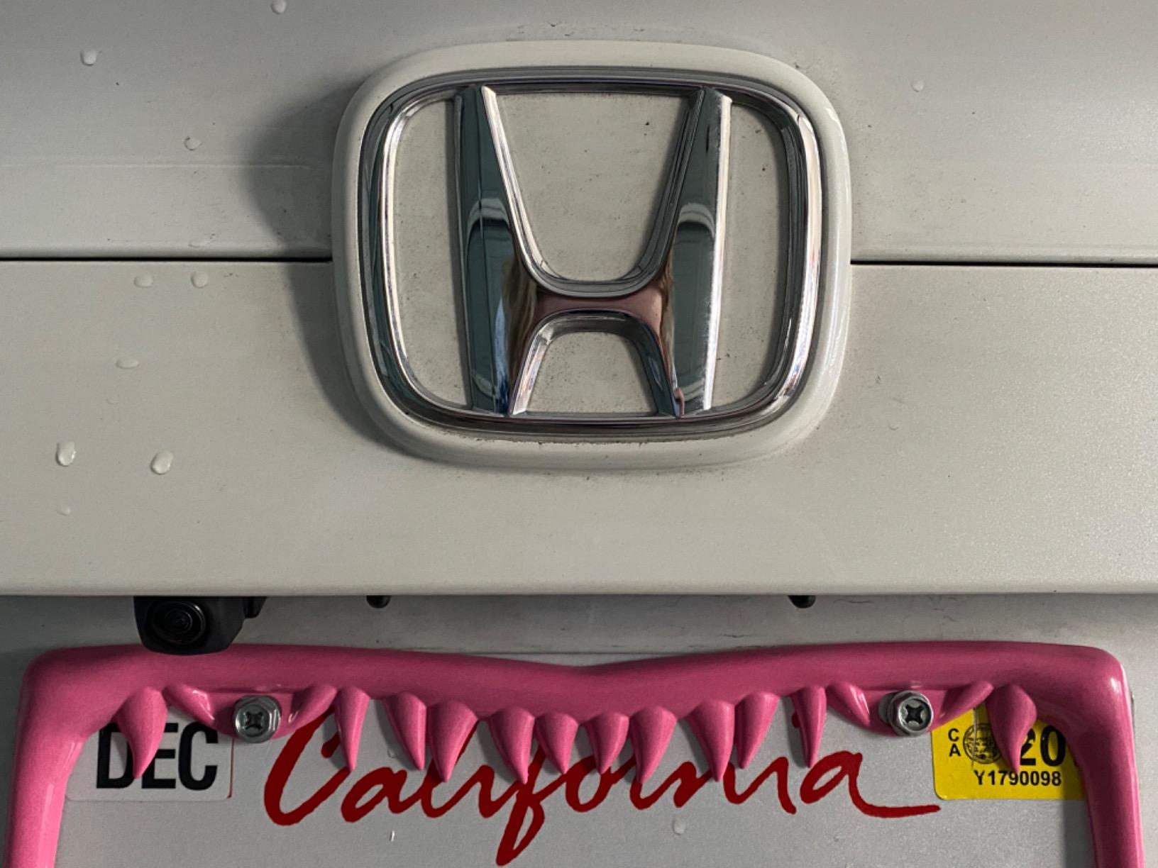 $3/mo - Finance DMSE Universal Metal Shark Tooth Teeth Jaws License ...