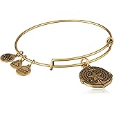 Amazon.com: Alex and Ani "Bangle Bar" Rafaelian Gold-Tone Crab Expandable Bracelet: Clothing ...