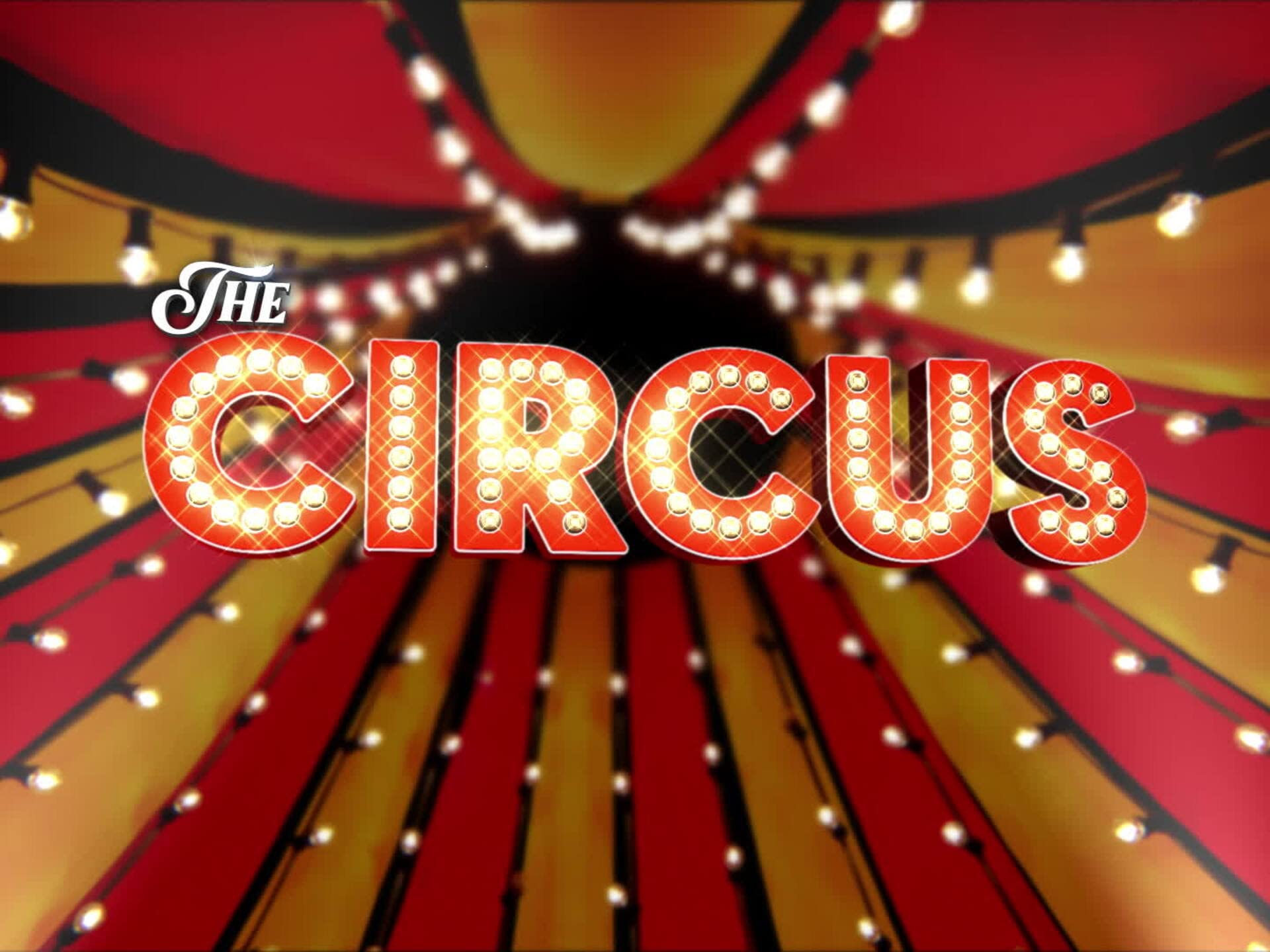 Watch The Circus - Season 1 | Prime Video