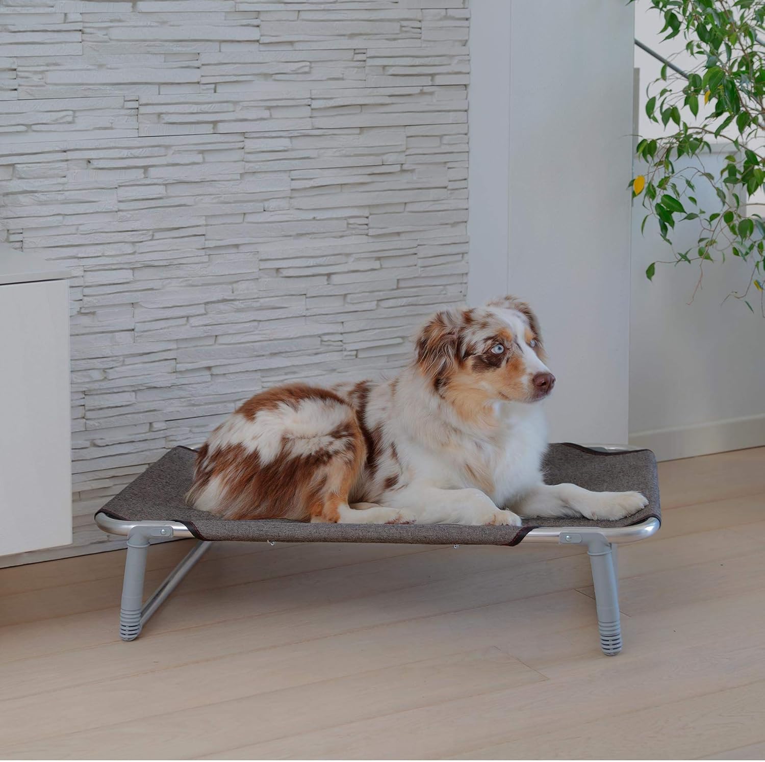 Ferplast Dream 80 Folding Bed for Dogs, Taupe, 84 x 54 x 18 cm – BigaMart