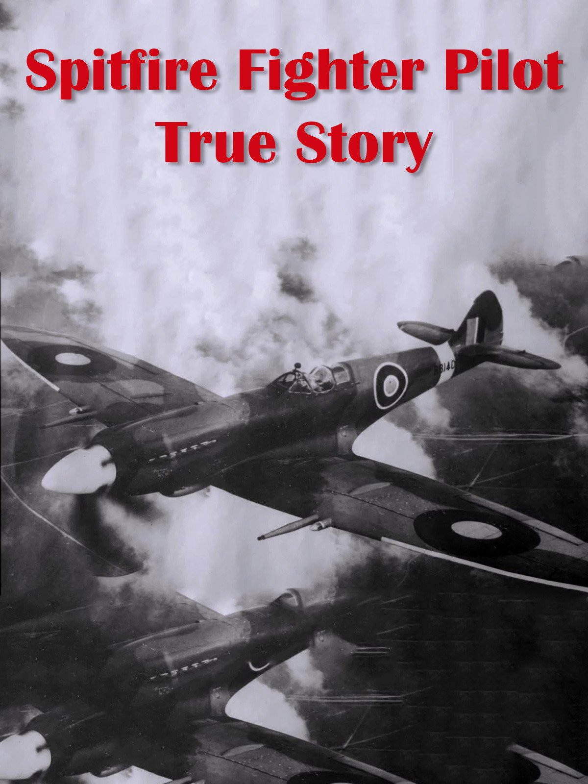 Watch Spitfire Fighter Pilot True Story | Prime Video