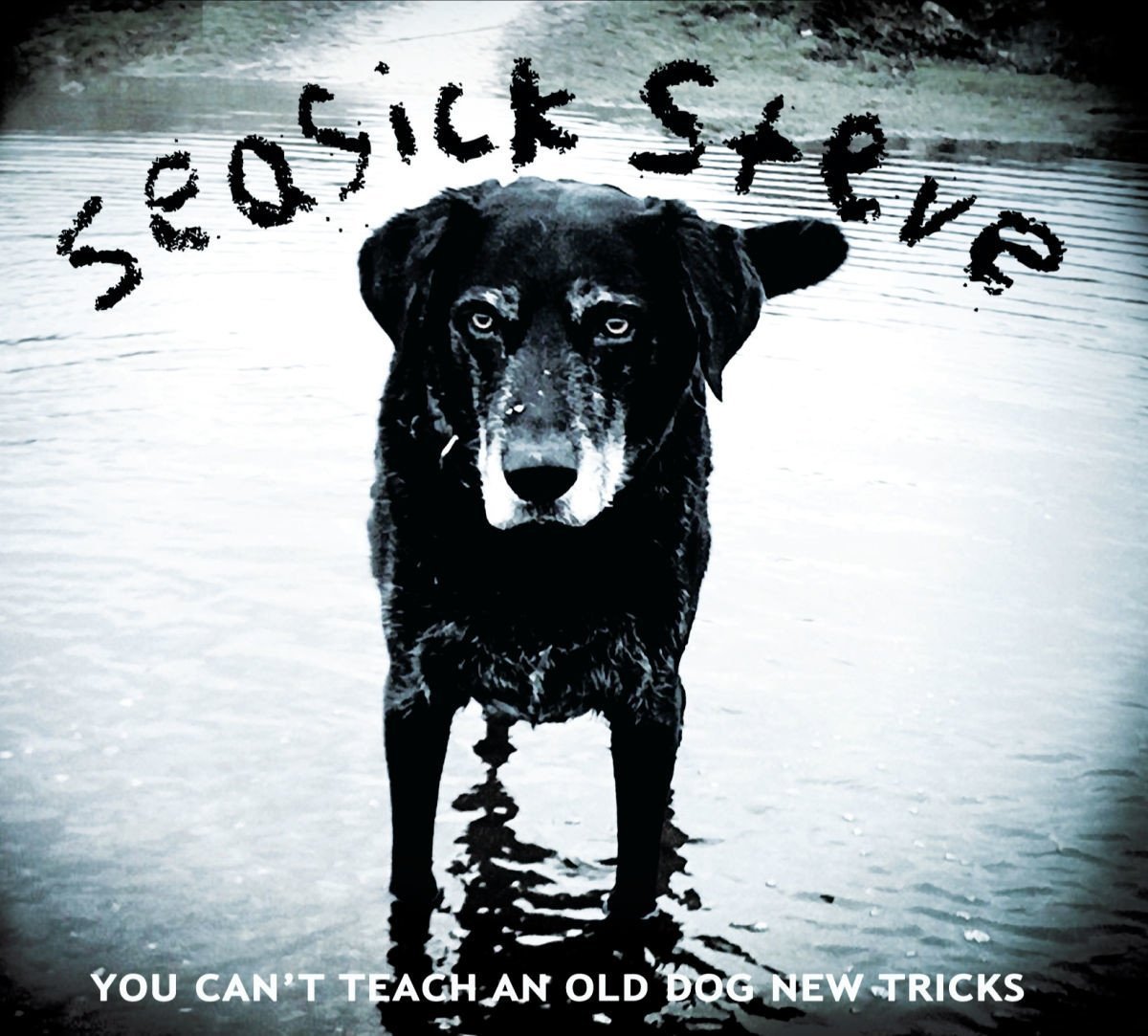 SEASICK STEVE - You Can't Teach An Old Dog New Tricks - Amazon.com Music