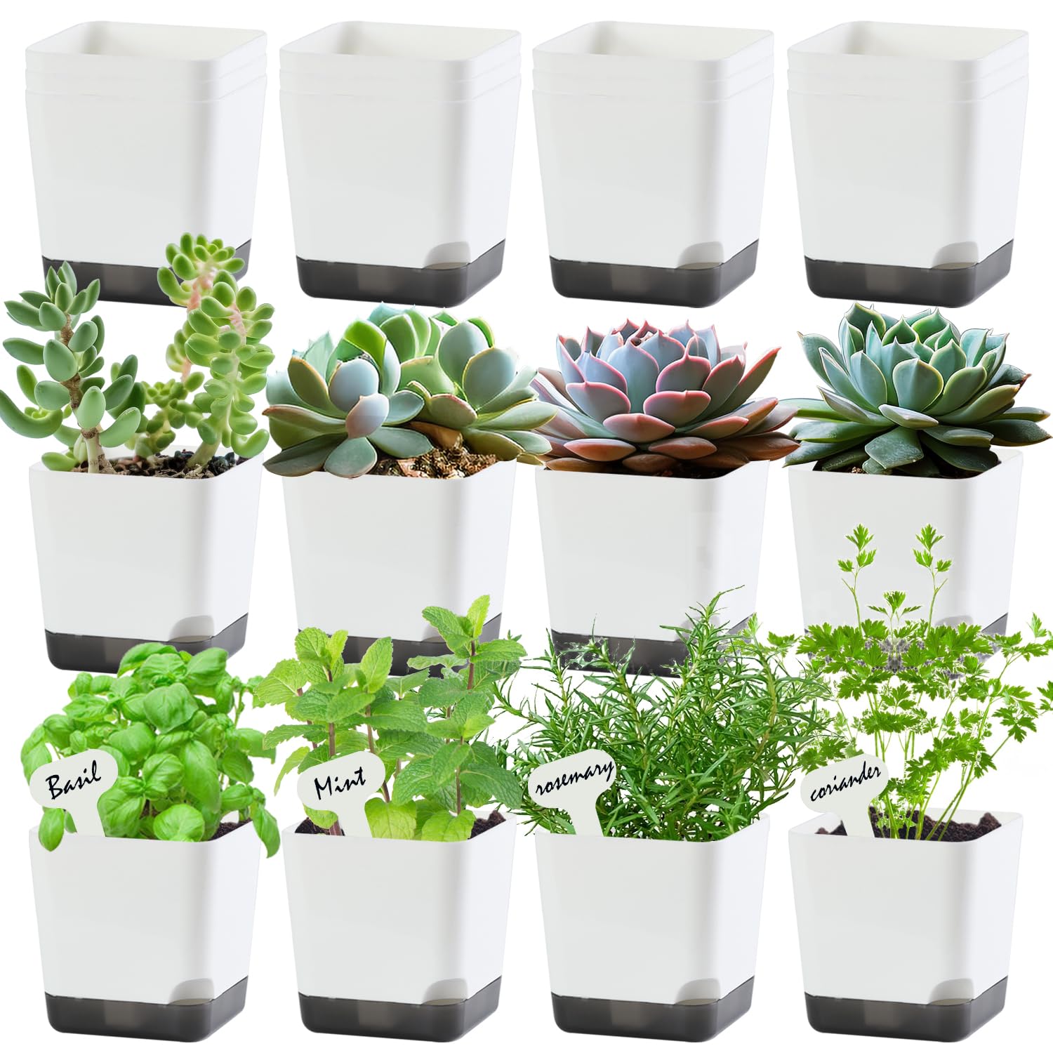 Oliz 3 inch Small Nursery Pots, Seedling Pots, 20 Pack Plastic Plant ...