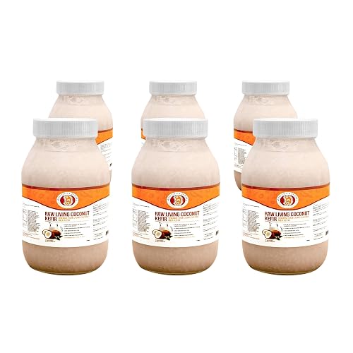 Living Coconut Milk Kefir – Organic, Vegan, Low-Sugar Probiotic for Gut ...